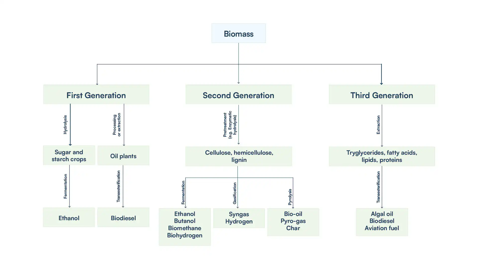 A Comparative Analysis of the Carbon Footprint of First-Generation (1G ...